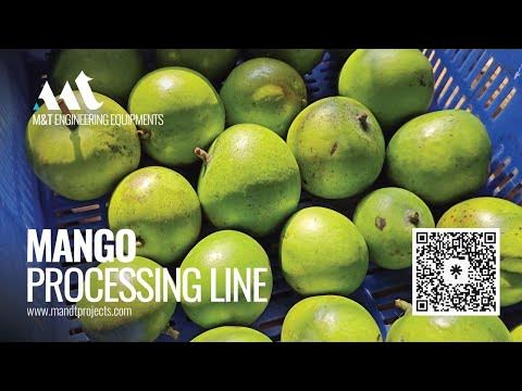 Mango Processing Line, Mango Pack House, Mango Sorting and Grading line, Mango Hot Water ...