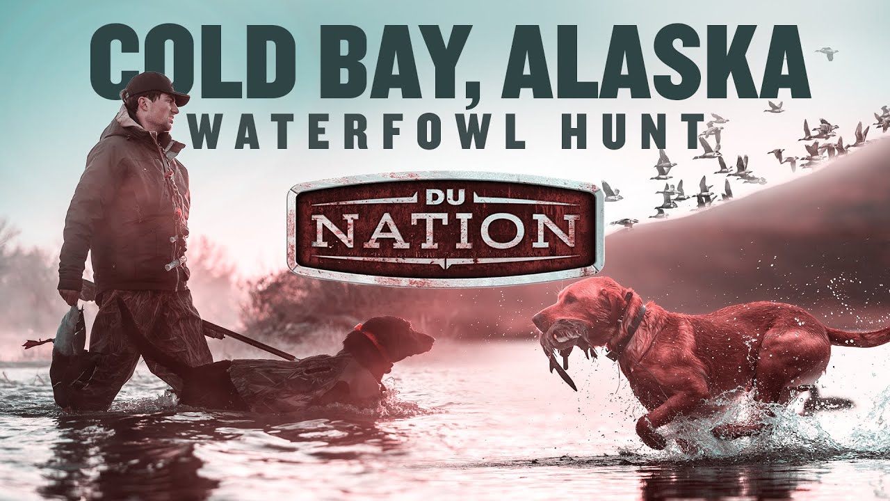 Alaska's Untamed Wilderness: Duck Hunting in Cold Bay | DU NATION - YouTube