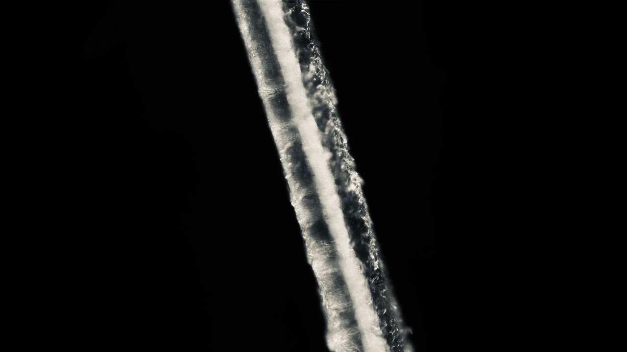 White Hair Under Microscope - YouTube