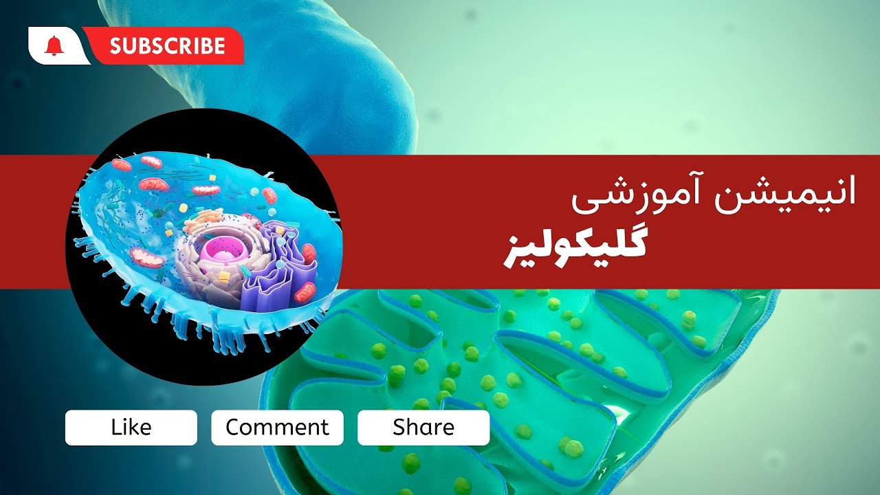 گلیکولیز مرحله اول تنفس سلولی آموزش فصل ۵ زیست ۳ دوازدهم تجربی Youtube