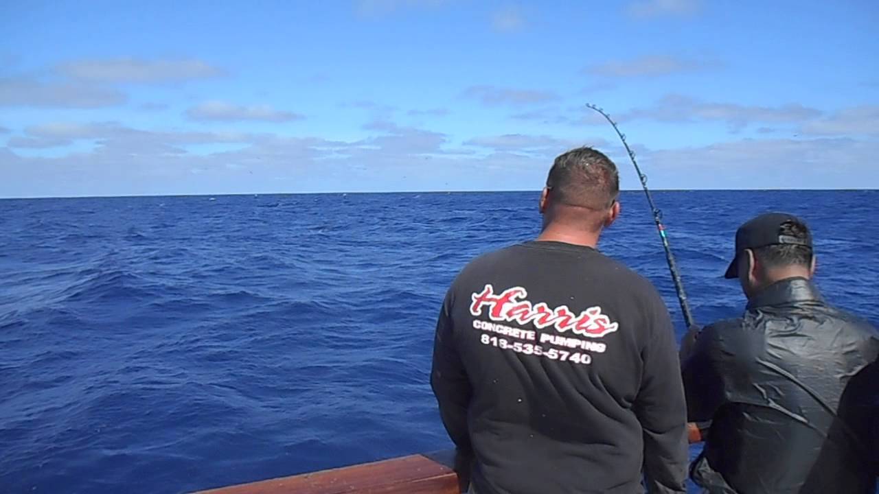 2014 Baja Paddy Hoppers/ Independence- Pt.2 (Alijos Rocks Marlin) - YouTube