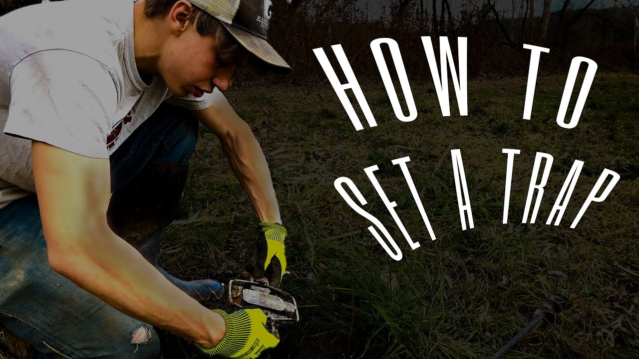 How To Set A Trap - YouTube