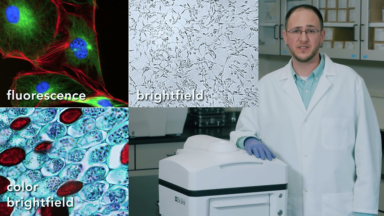 Agilent BioTek Lionheart FX and Lionheart LX Automated Microscopes ...