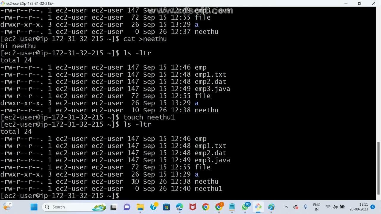 Shell Script 6 - YouTube