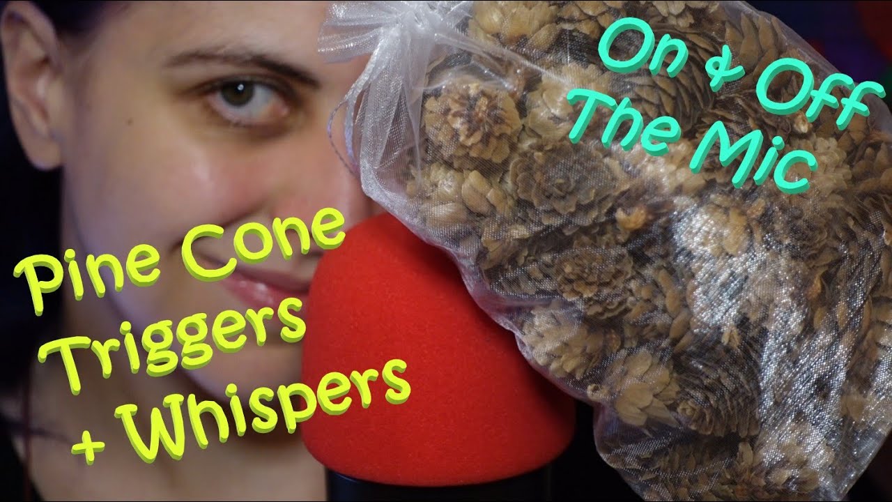 ASMR Pine Cones Triggers - Mic Scratching, Wood Clacking, Crispy Sounds ...