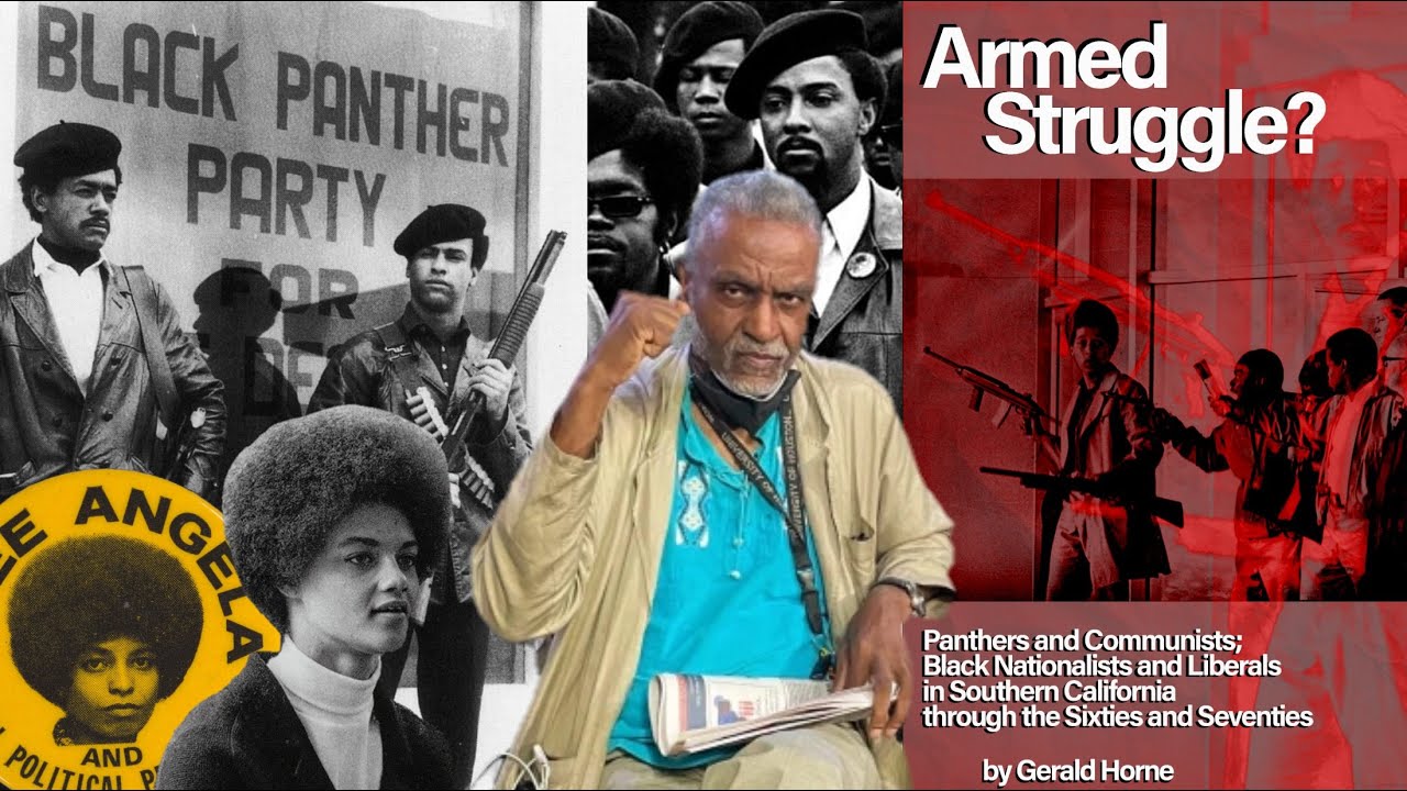 Ep15: Gerald Horne on ARMED STRUGGLE? Panthers & Communists; Black ...