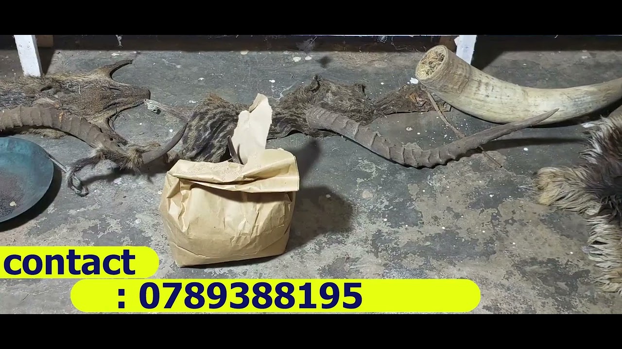 DUTEREKERE ABAZIMU BACU TUREKE GUTEREKERA ABAZIMU BABAZUNGU - YouTube
