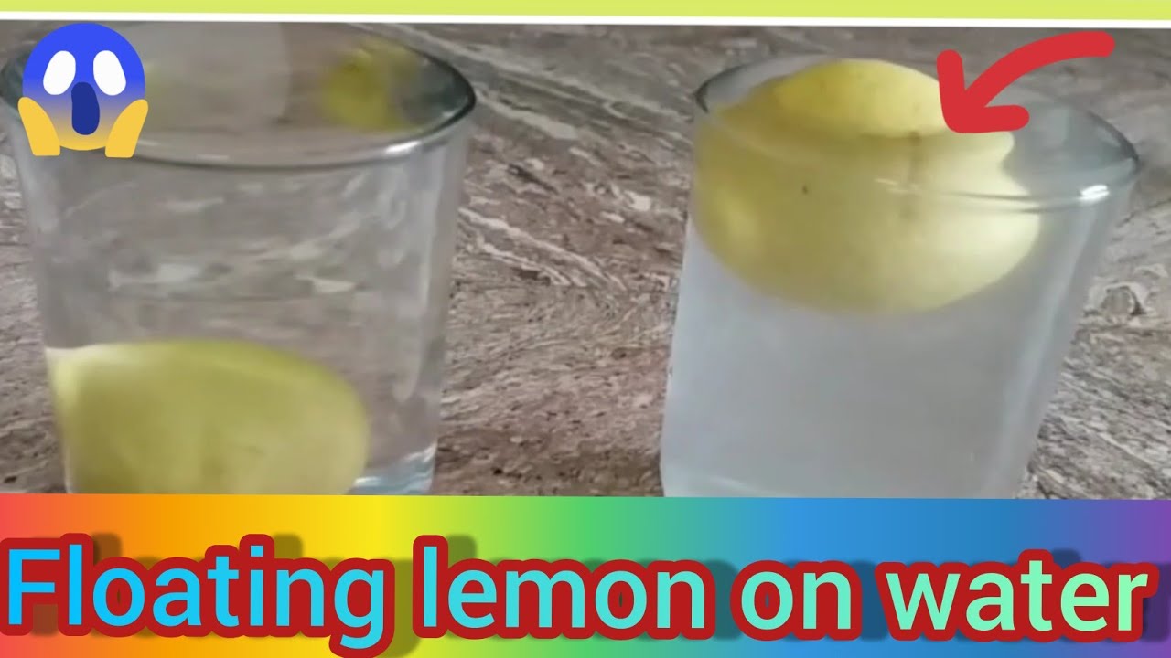 Floating lemon on water#experiment#water#lemon#salt#easy#magic#fun# ...