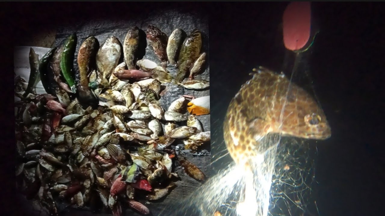 net Fishing @panaraga beach barobo SDS 🇵🇭|mastertvadventure buhaydagat ...