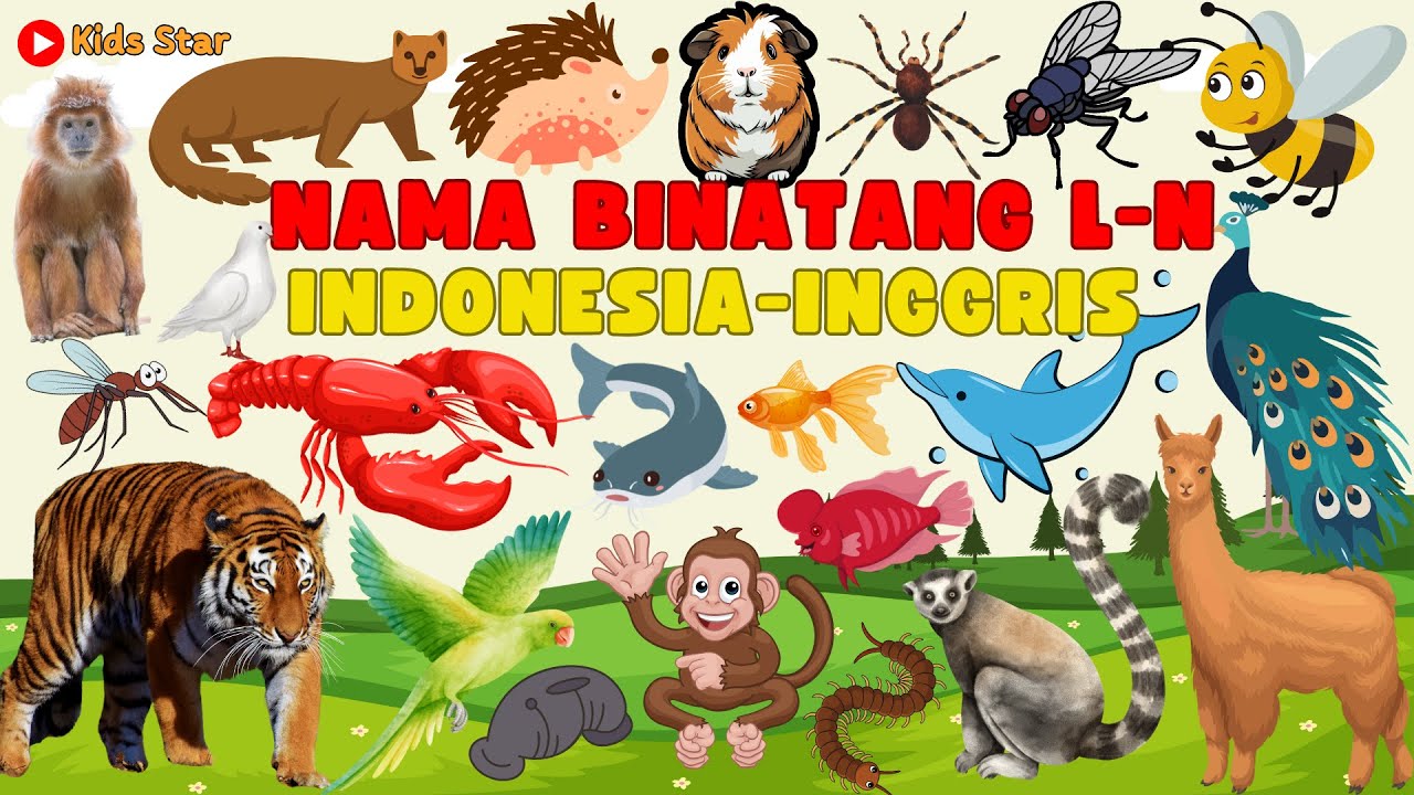 BELAJAR TEBAK NAMA BINATANG HEWAN L-N DALAM BAHASA INDONESIA BAHASA ...
