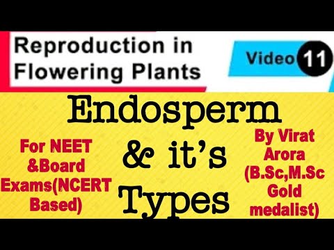 What is Endosperm/How endosperm forms/Types of endosperm/Free nuclear ...