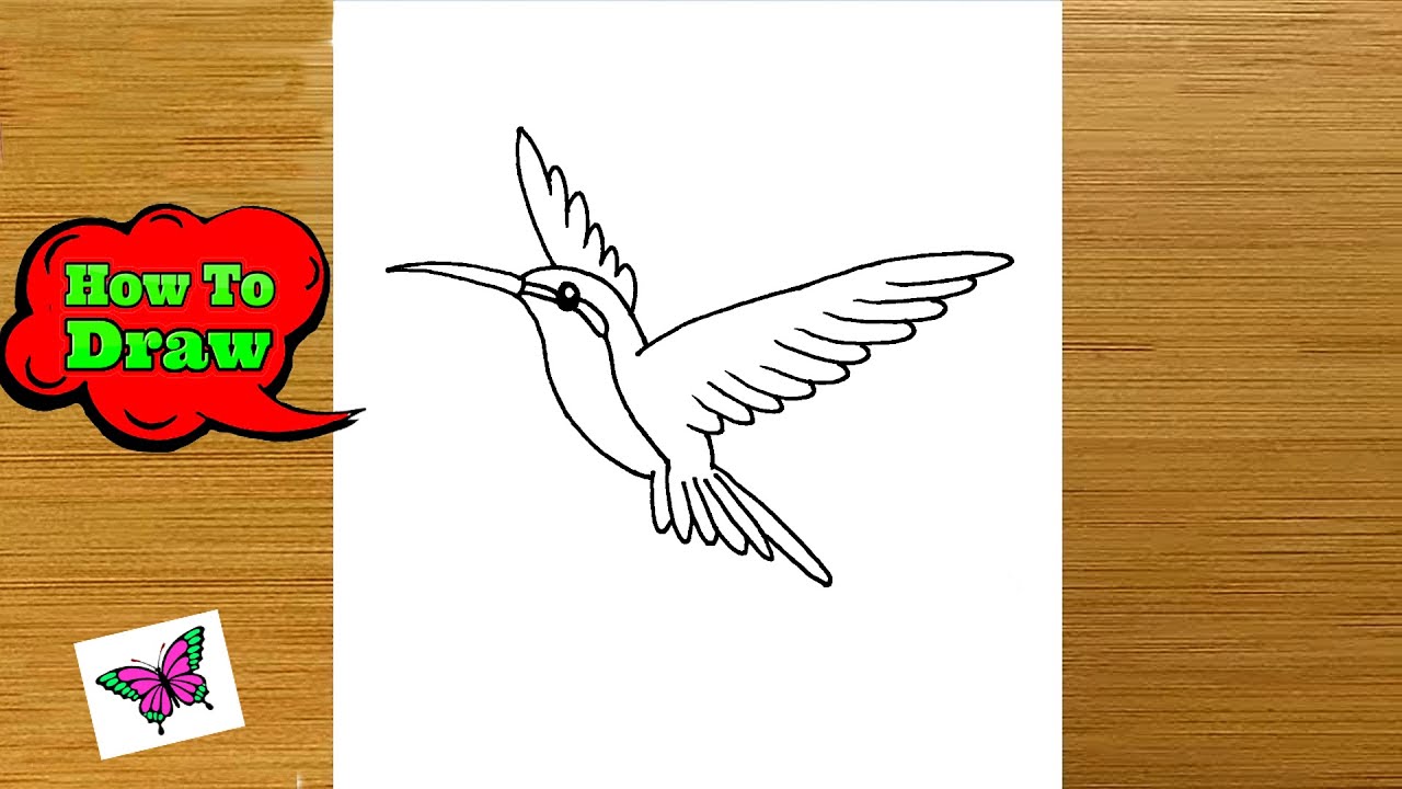 How to draw a Hummingbird step by step easy | Hummingbird drawing ...