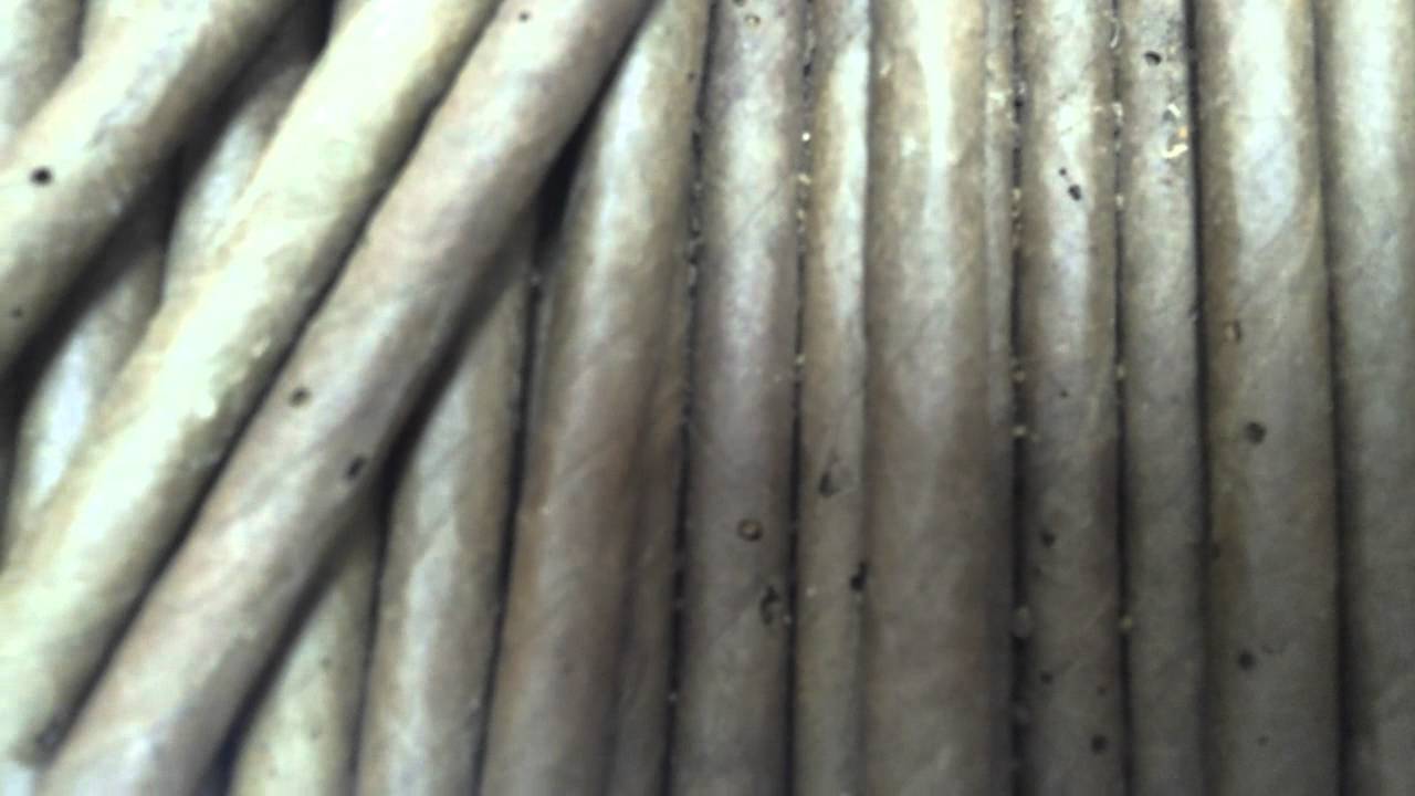 Worms in the Meharis cigars box - YouTube