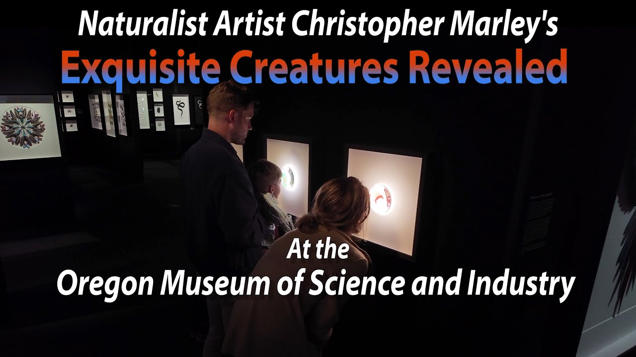Tour the new OMSI exhibition, 'Exquisite Creatures Revealed' | East ...