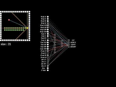 Visualizing the NEAT Algorithm - 2. How the AI Works, Inputs and the Neural Network - YouTube