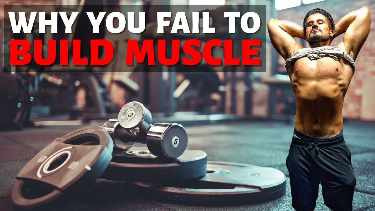 The Number One Reason You Are NOT Building Muscle (Even Though You Are ...