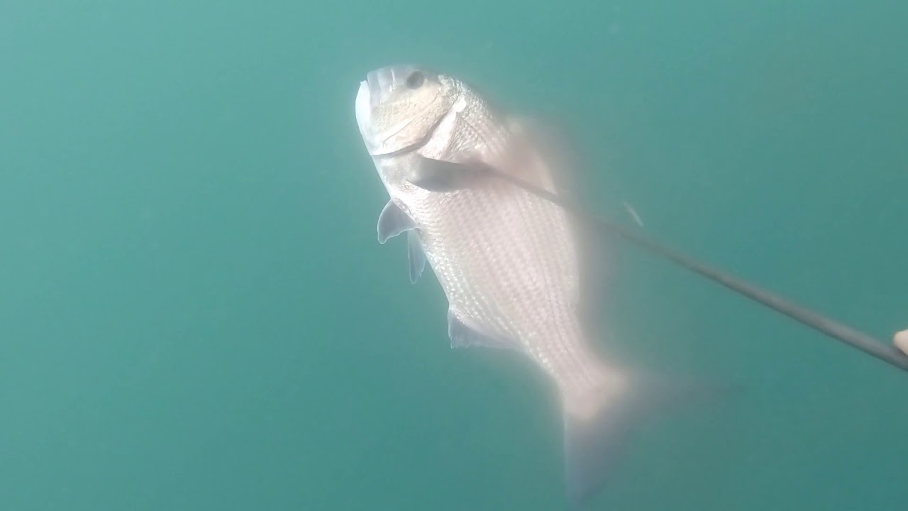 LONG SHOT CRAKER - YouTube