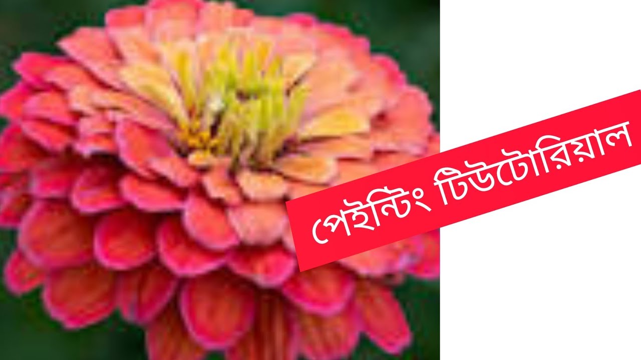 flower painting easy way to jinia flower - YouTube