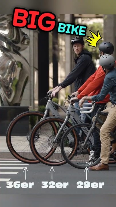 The World's Largest Bike with 36-Inch Wheels 🚴‍♂️ A Dirty Fixer for Basketball Giants - YouTube