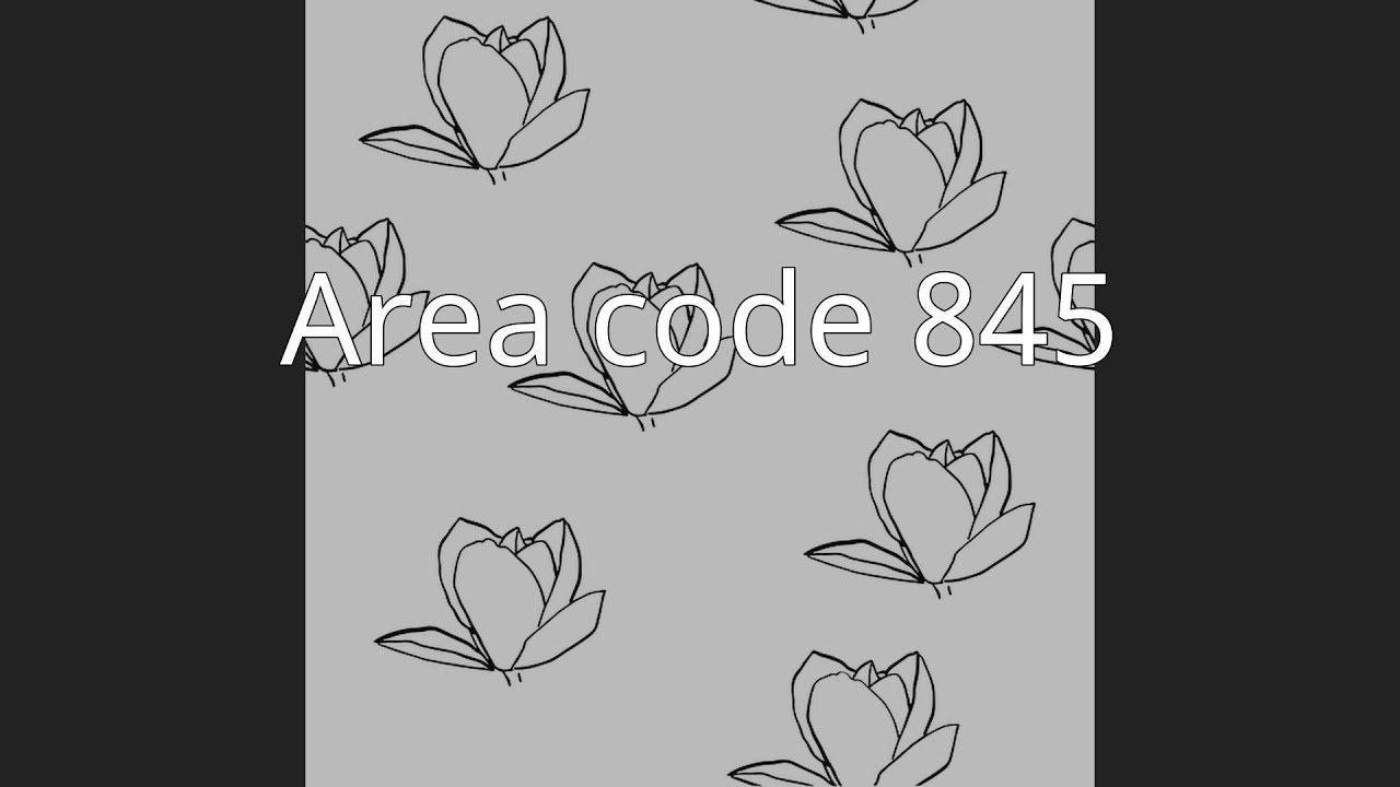 Area Code 845 YouTube area-code-845-youtube