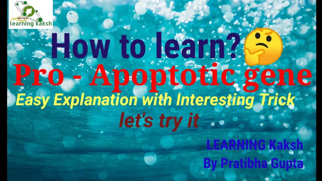 How to learn Pro - apoptotic gene||Apoptosis||For M.Sc.||NET||Gate ...