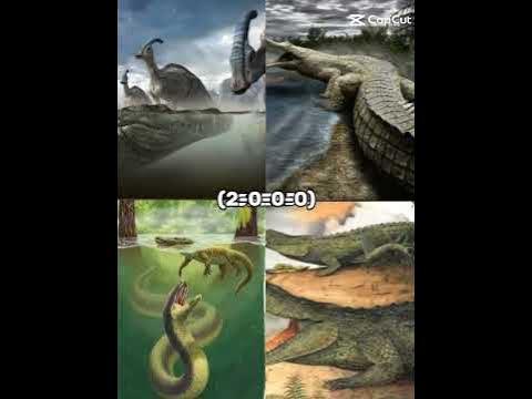 DEINOSUCHUS VS TITANOBOA VS SARCOSUCHUS VS PURUSSAURUS #reallife # ...