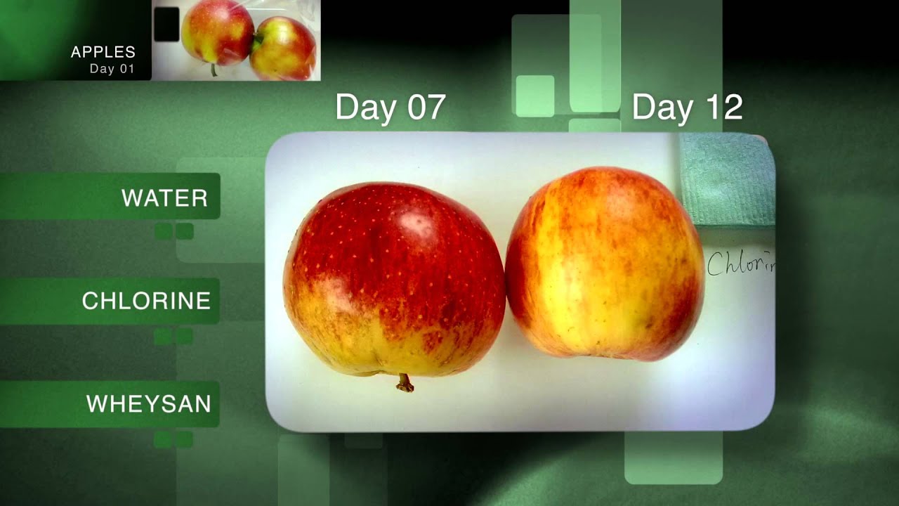 WHEYSAN – Whey based formula - YouTube