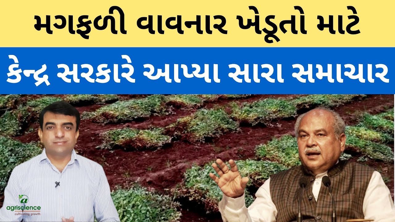 મગફળીના ખેડૂતો માટે | Magfadi | Groundnut | Agriscience - YouTube