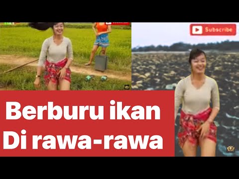 2 gadis cantik berburu ikan di rawa-rawa..