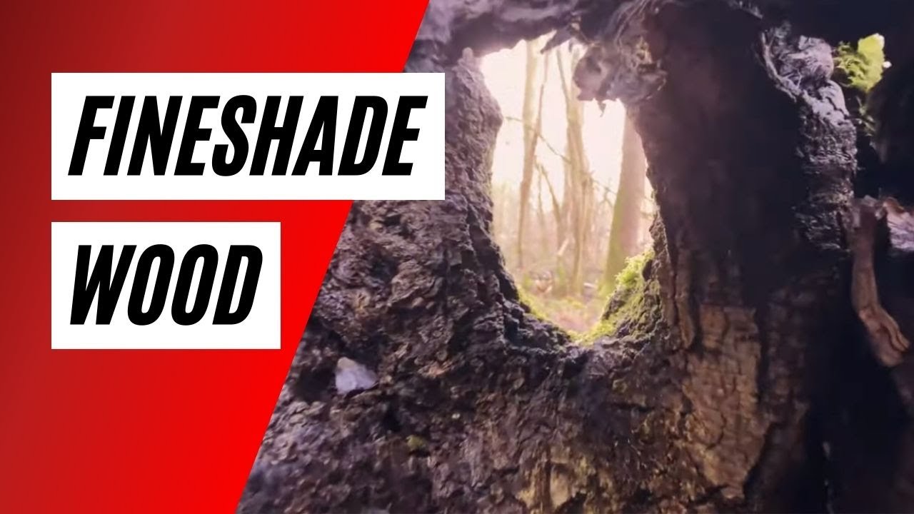 Fineshade Wood - YouTube