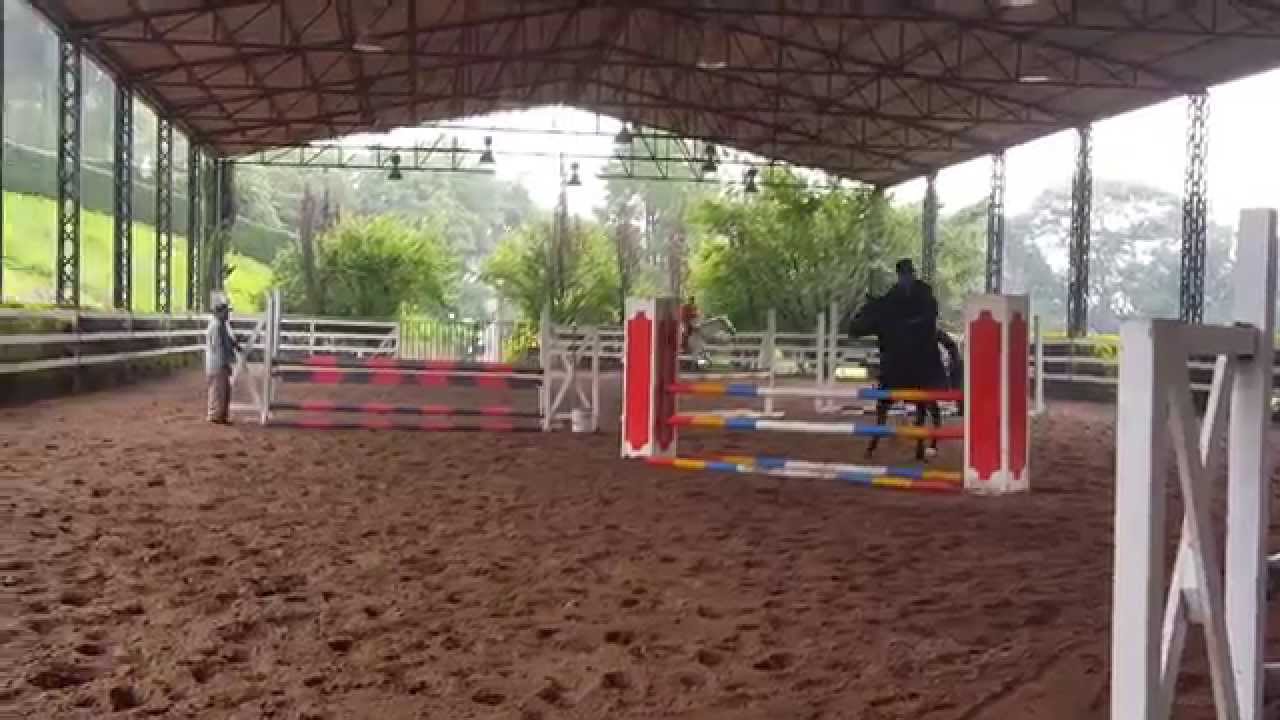 BB Gold y Alex Pedraza yegua de 4 años - YouTube