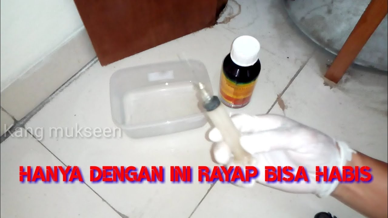 Cara mudah basmi rayap yang muncul di lemari | anti rayap - YouTube