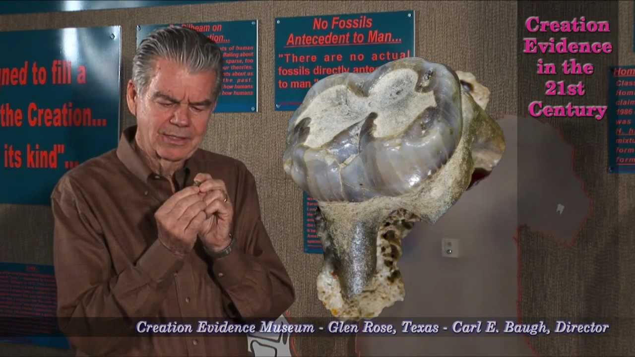 Failed Evolutionary Pre-Human Candidates: Episode 5 - Nebraska Man ...