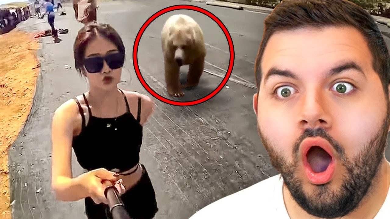Impossible Moments Caught On Camera Youtube