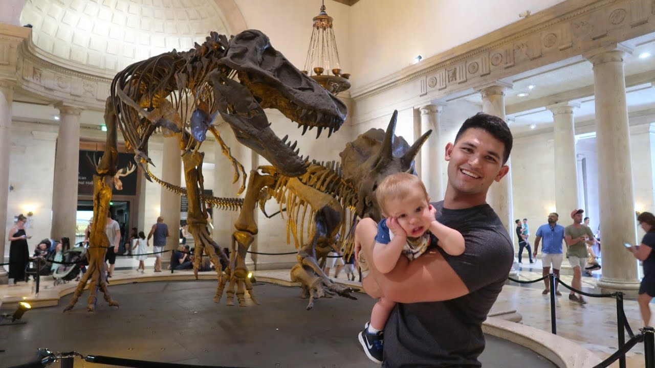 Los Angeles Natural History Museum YouTube los-angeles-natural-history-museum-youtube