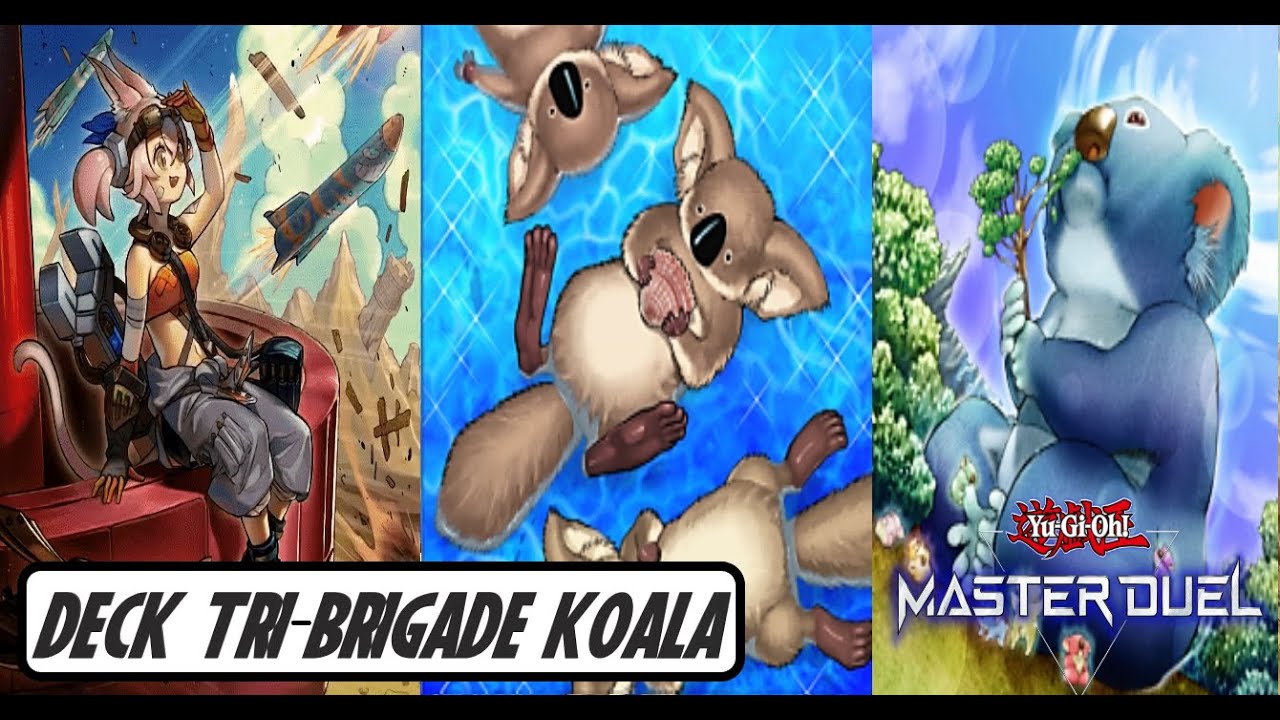 DECK TRI-BRIGADE KOALA [MASTER DUEL] 2023 - YouTube