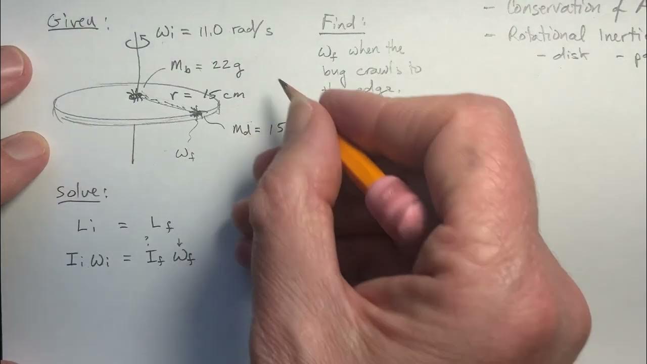 Physics Problems Solved: Even Bugs Conserve Angular Momentum - YouTube