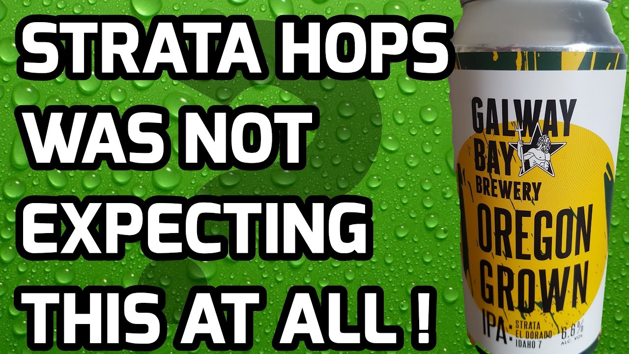 What do Strata hops taste like??? My View on Galway bay brewery Irish ...