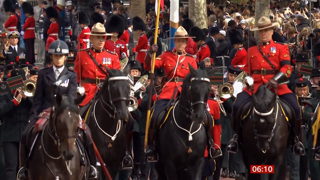 Canada Gifts King Charles A Seven year old Horse Called Noble Canada Gifts King Charles A Seven year old Horse Called Noble