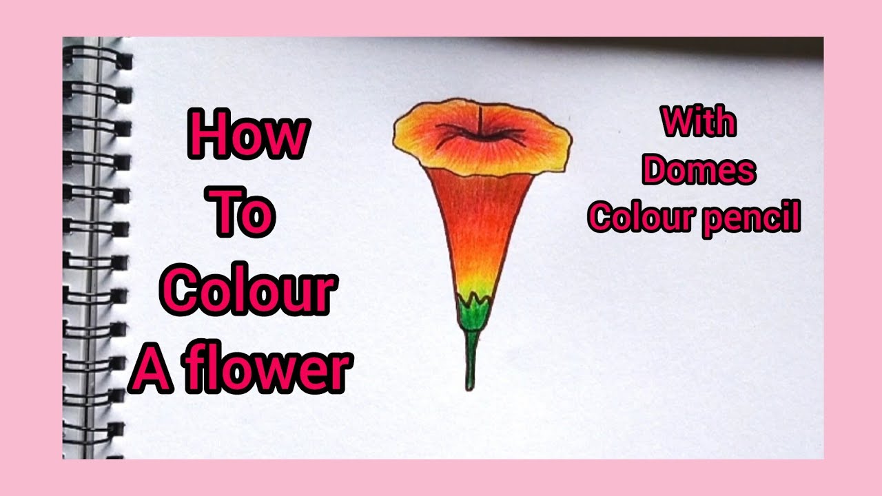 oleander flower drawing || easy way to draw flowers || easy drawing ...