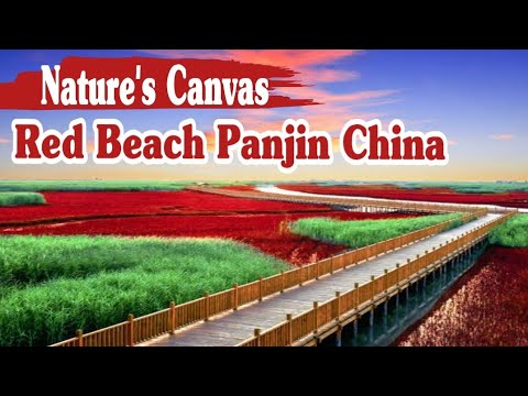 Visual Tour of Red Beach in Panjin, China|The red beach panjin, China ...