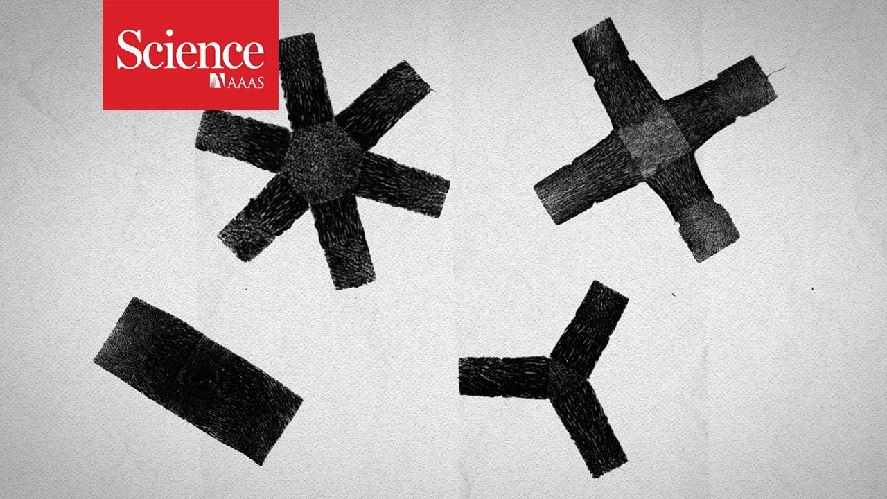 These origami robots could one day deliver drugs inside your body - Go IT