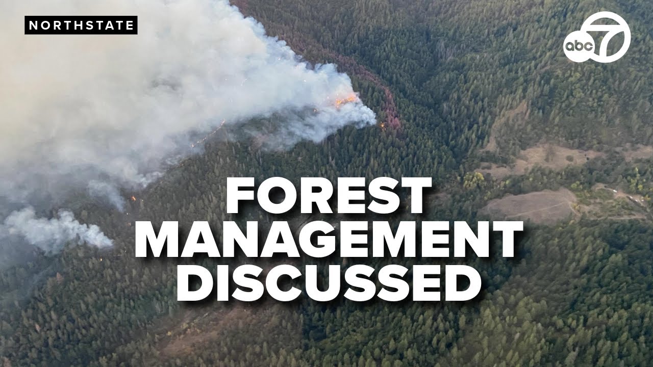 Redding conference educates on forest vegetation management, wildfire ...