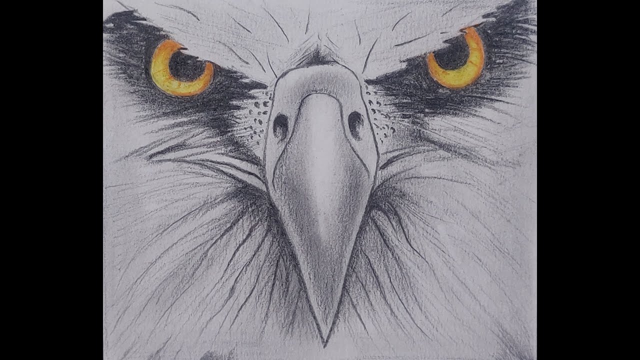 How To Draw An Eagle Eye