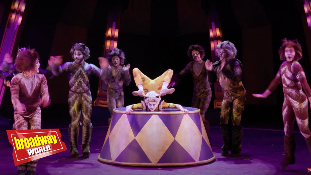 'Old Gumbie Cat' – Circus-Inspired 'CATS' at Paramount Theatre - YouTube