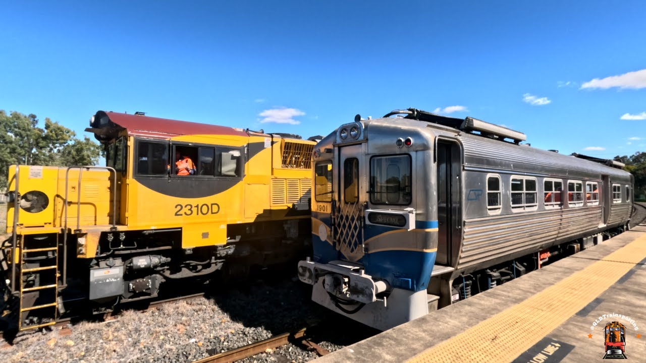QR, Watco, Aurizon, + RM1901 Trains: Week 31 - YouTube
