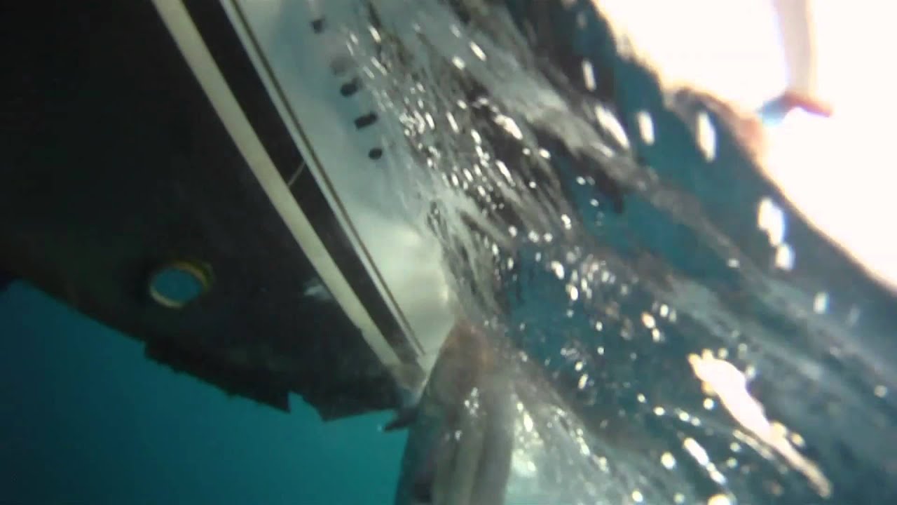 Atlantis Canyon Tuna Fishing - Underwater GoPro Footage - YouTube