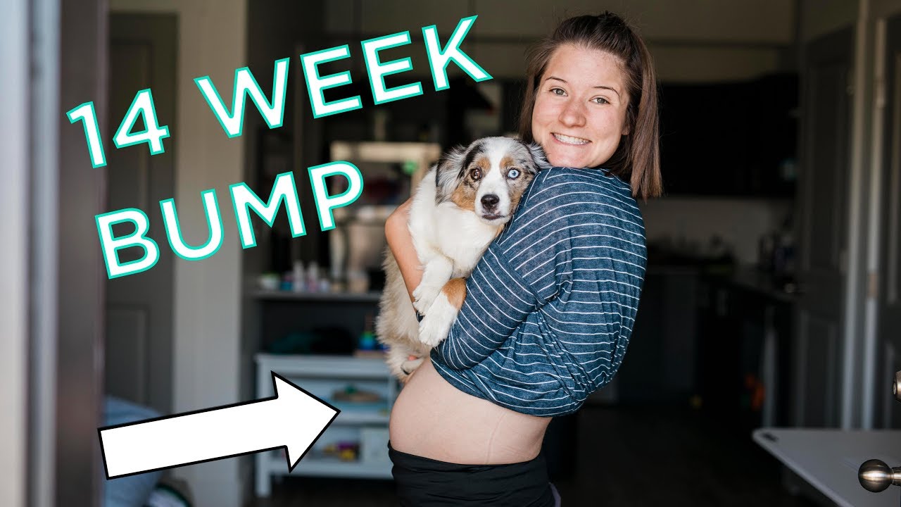 14 WEEKS PREGNANT: BUMP UPDATE - YouTube