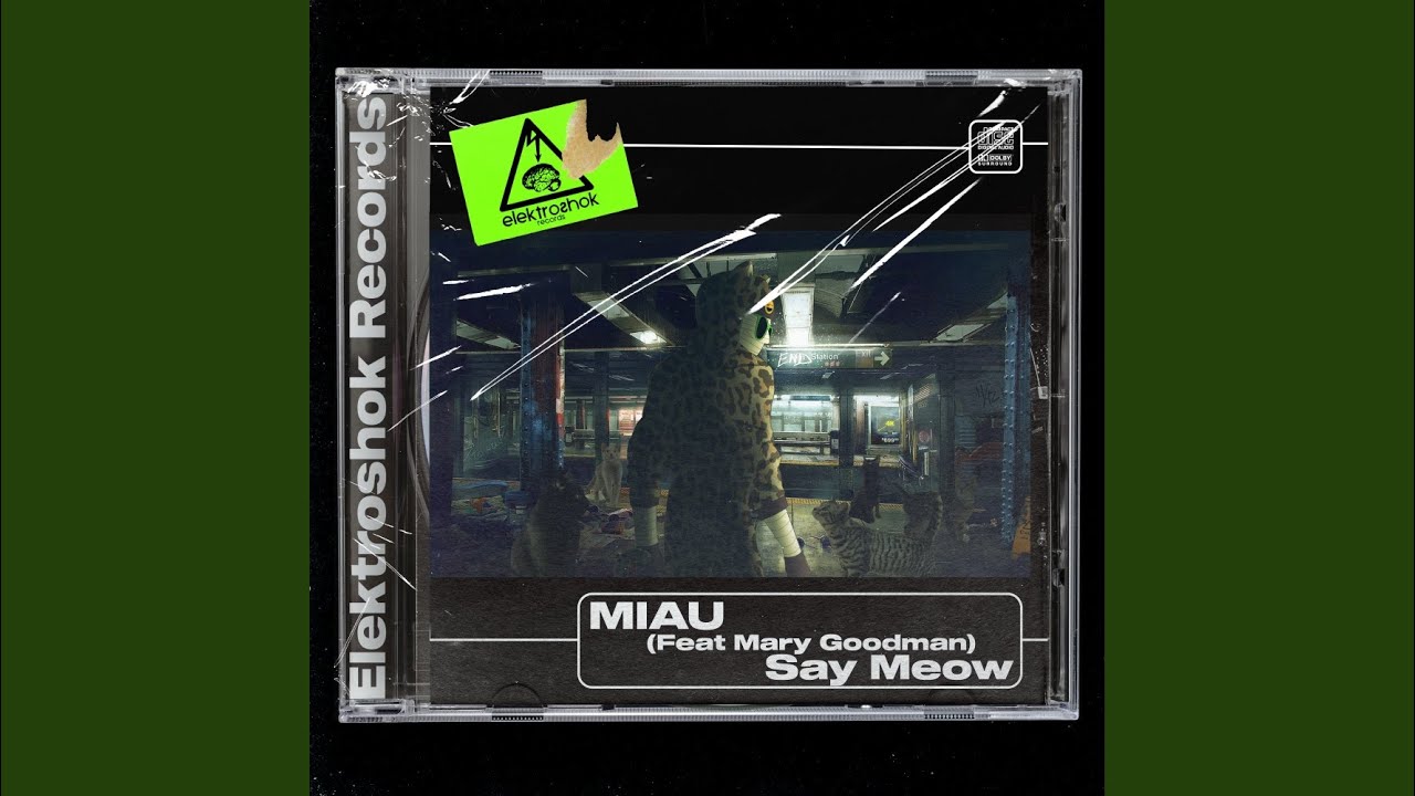 Say Meow - YouTube