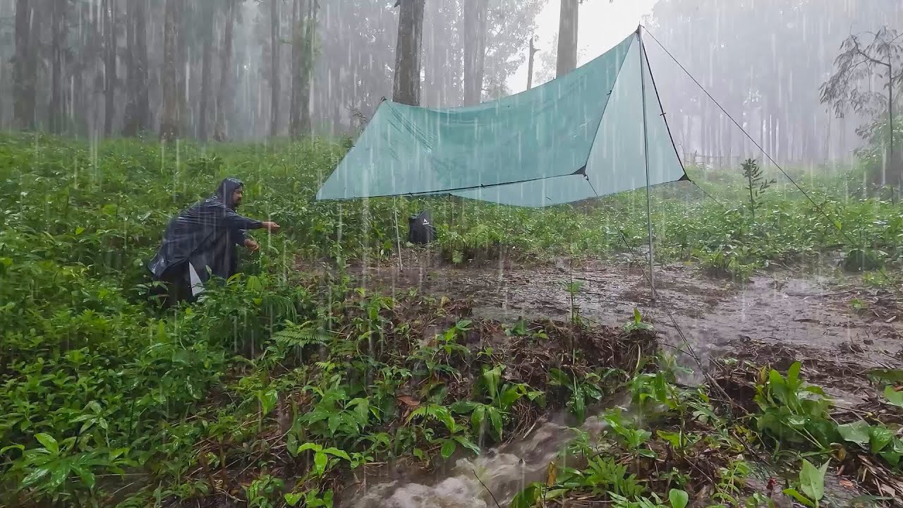 CAMP HEAVY RAIN 🌧🌩 SOLO CAMPING IN HEAVY RAIN AND THUNDER - RELAXING ...